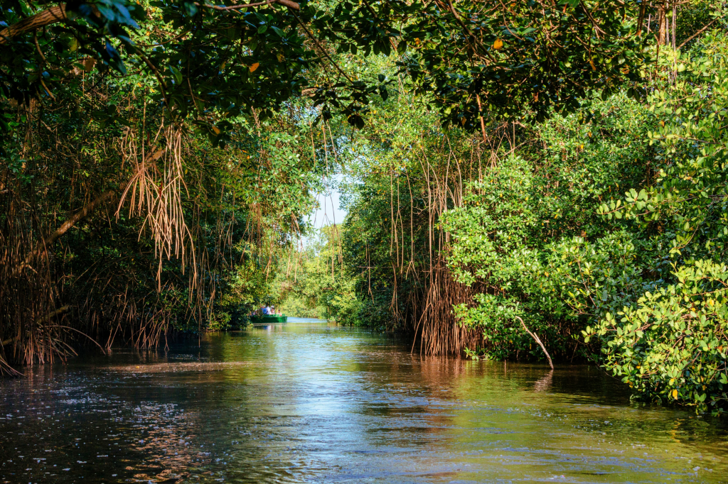Trinidad and Tobago | Overview
