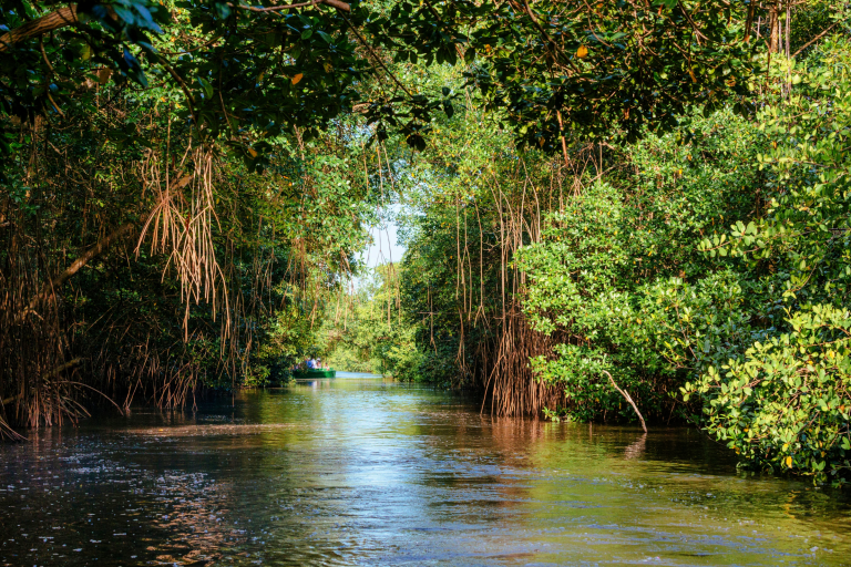 Caribbean Travel and Tours - The First Dedicated Marketplace For ...