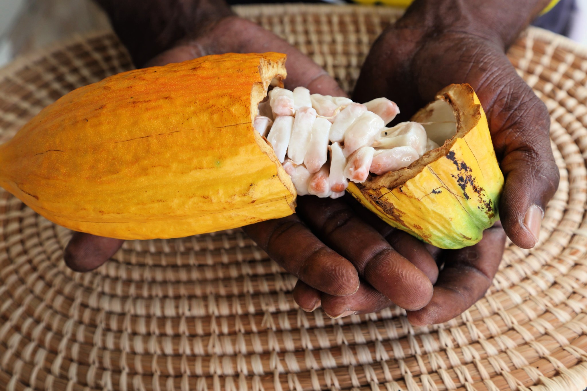 Grenada | What to Eat / Grenada Food
