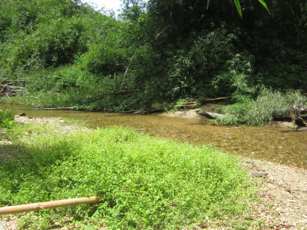 Trinidad and Tobago | Places to Visit in Trinidad & Tobago